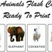 Cute Animals Flash Cards for Kids With Bonus Coloring Book - Etsy