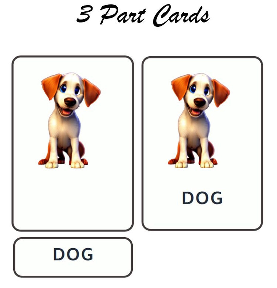 Cute Animals Flash Cards for Kids With Bonus Coloring Book - Etsy