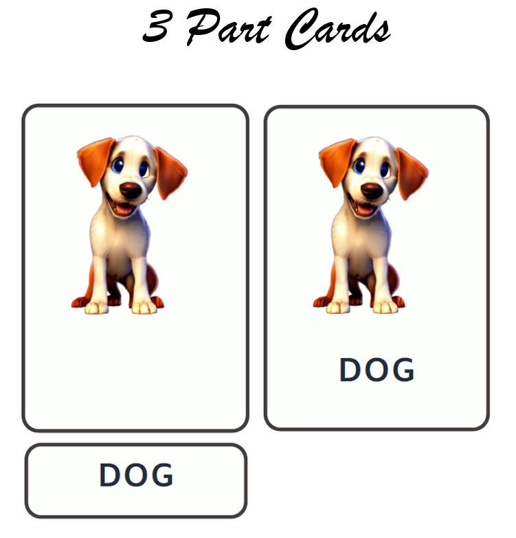 Cute Animals Flash Cards for Kids With Bonus Coloring Book - Etsy