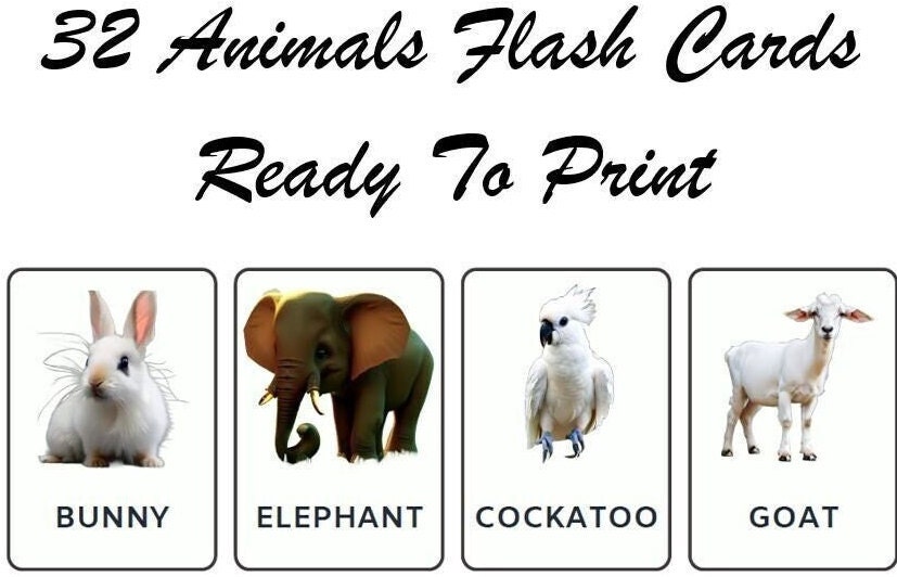 Cute Animals Flash Cards for Kids With Bonus Coloring Book - Etsy