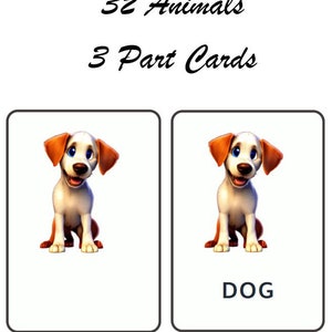 Cute Animals Flash Cards for Kids With Bonus Coloring Book - Etsy