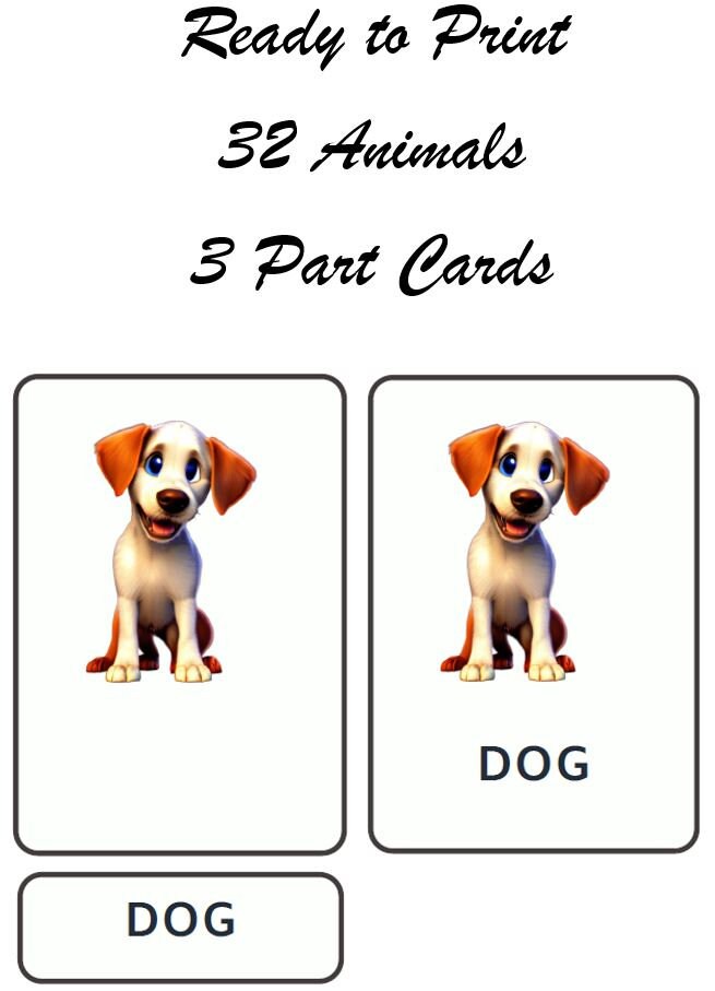 Cute Animals Flash Cards for Kids With Bonus Coloring Book - Etsy