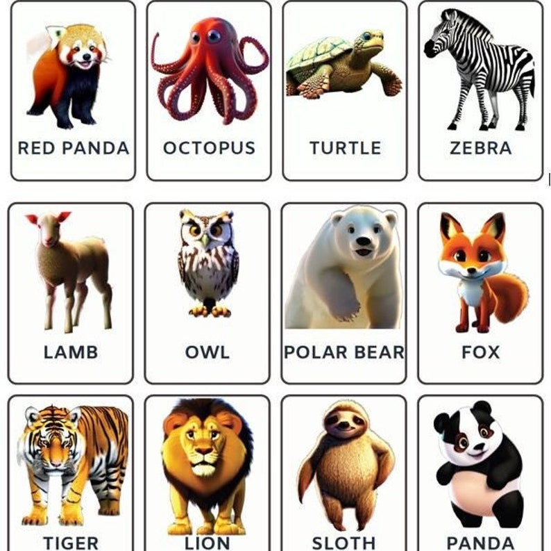 Cute Animals Flash Cards for Kids With Bonus Coloring Book - Etsy