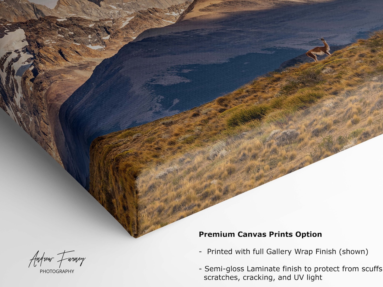 Patagonia Mountain Wall Art Photography Print Landscape Photo Extra ...