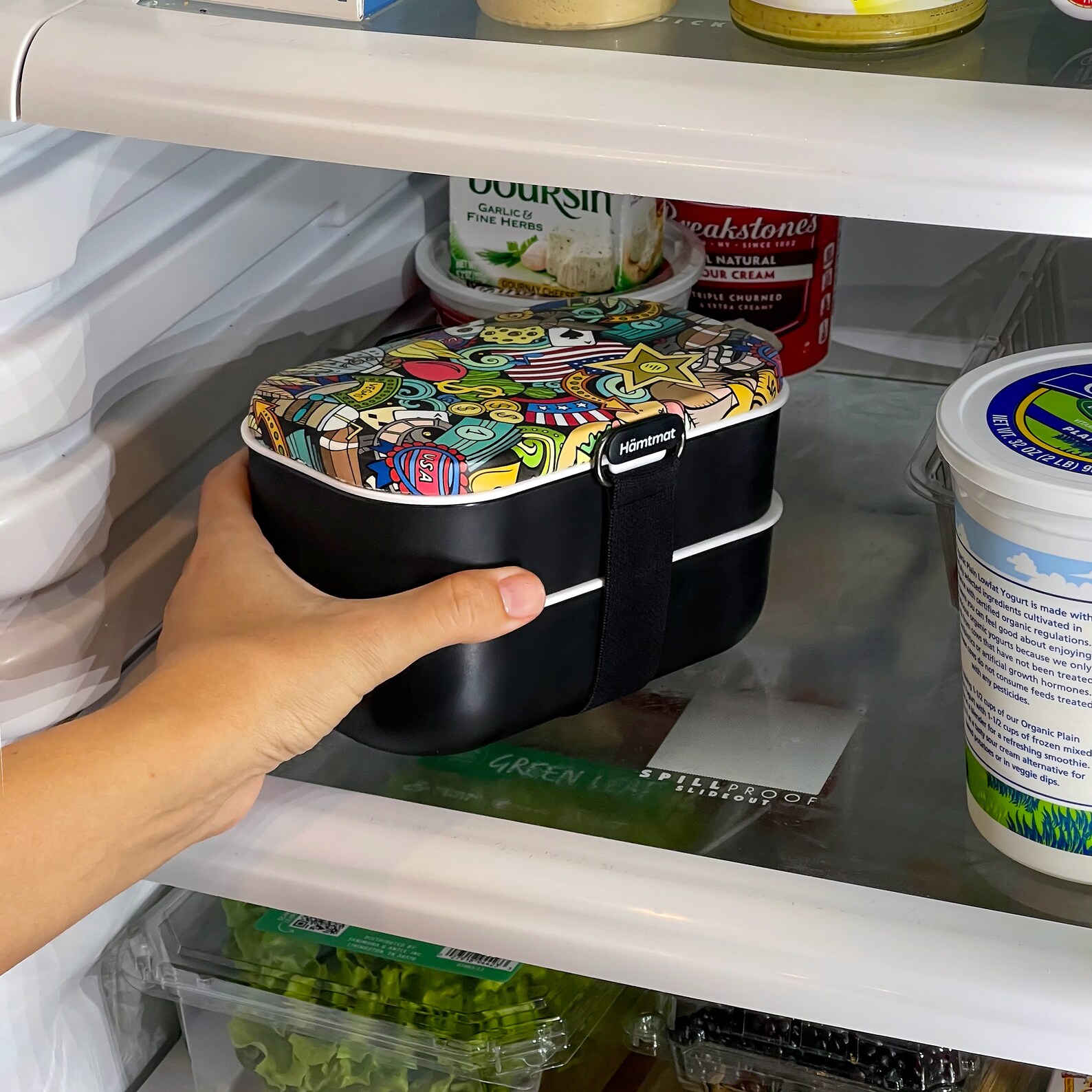 American Style Bento Box, Lunch Bento Box for Adults and Kids ...