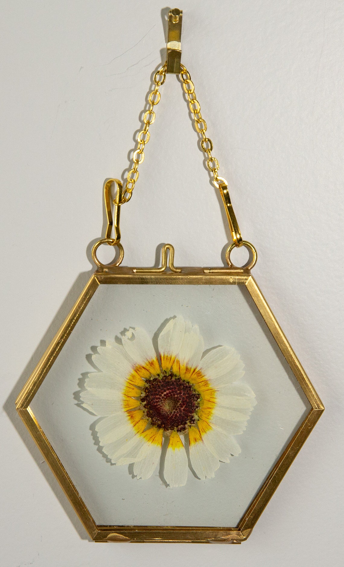 4x3 Hexagon Pressed Flower Art #008 - Etsy