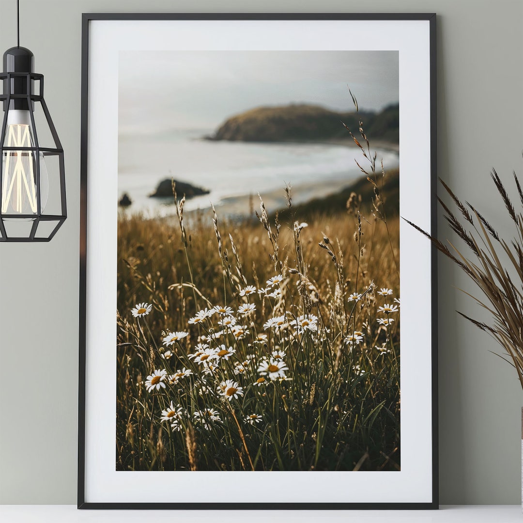 Daisies by the Ocean Poster, Nature Photography of Flowers on the Beach ...