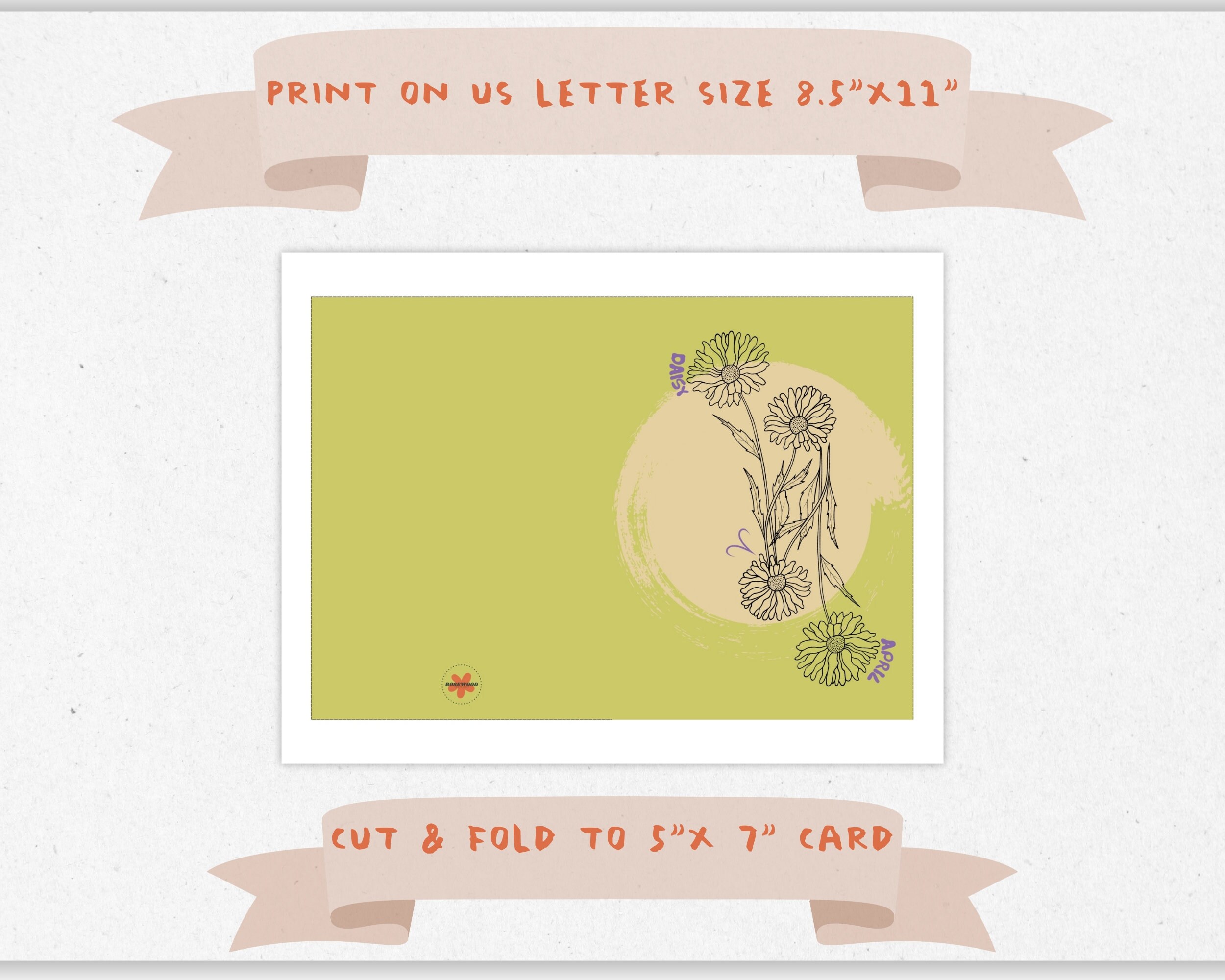 Printable Birth Flower Aries April Daisy, 5x7 Greeting Card, Digital ...