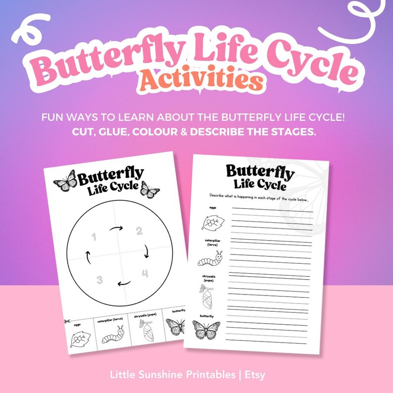 Butterfly Life Cycle Printable, Homeschool Activity, Butterfly Activity ...