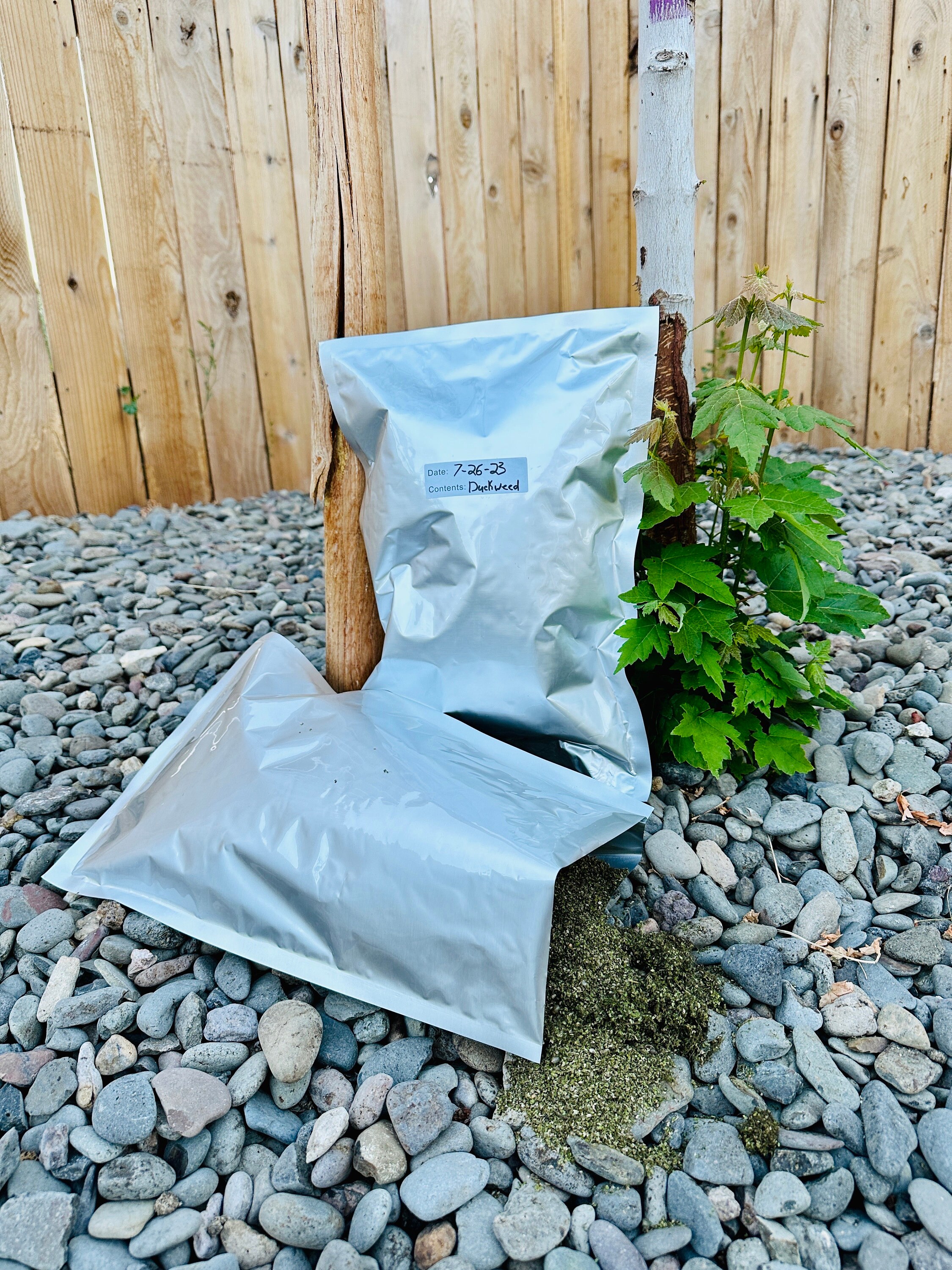 Dried Duckweed Fertilizer 2-0-3 for Indoor/outdoor Plants, Plant Food ...