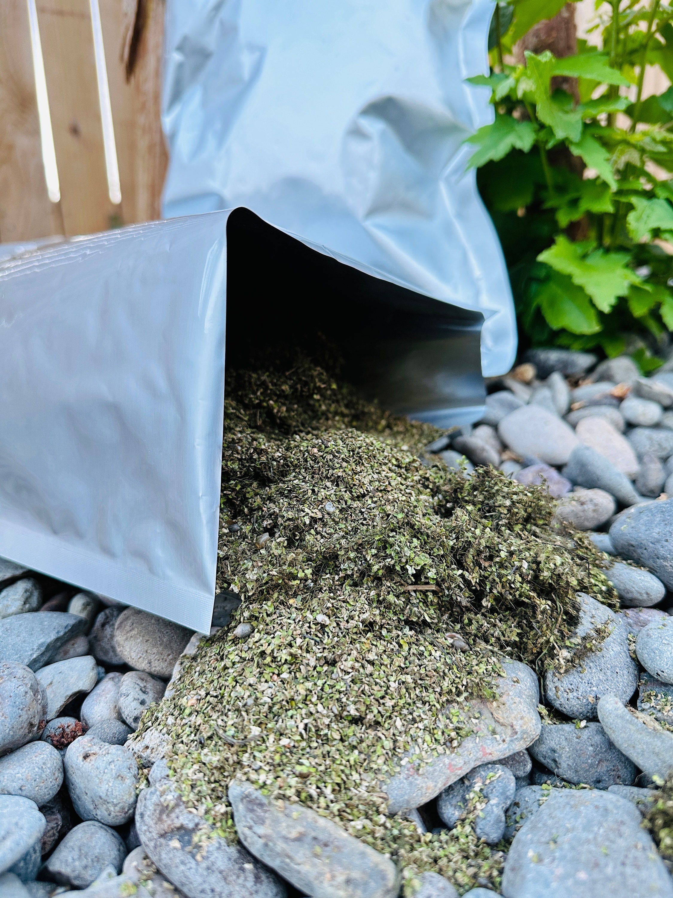 Dried Duckweed Fertilizer 2-0-3 for Indoor/outdoor Plants, Plant Food ...