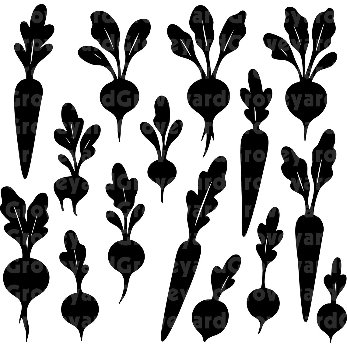 Root Vegetable Clipart Bundle SVG PNG AI – Carrot Radish Beet Turnip ...