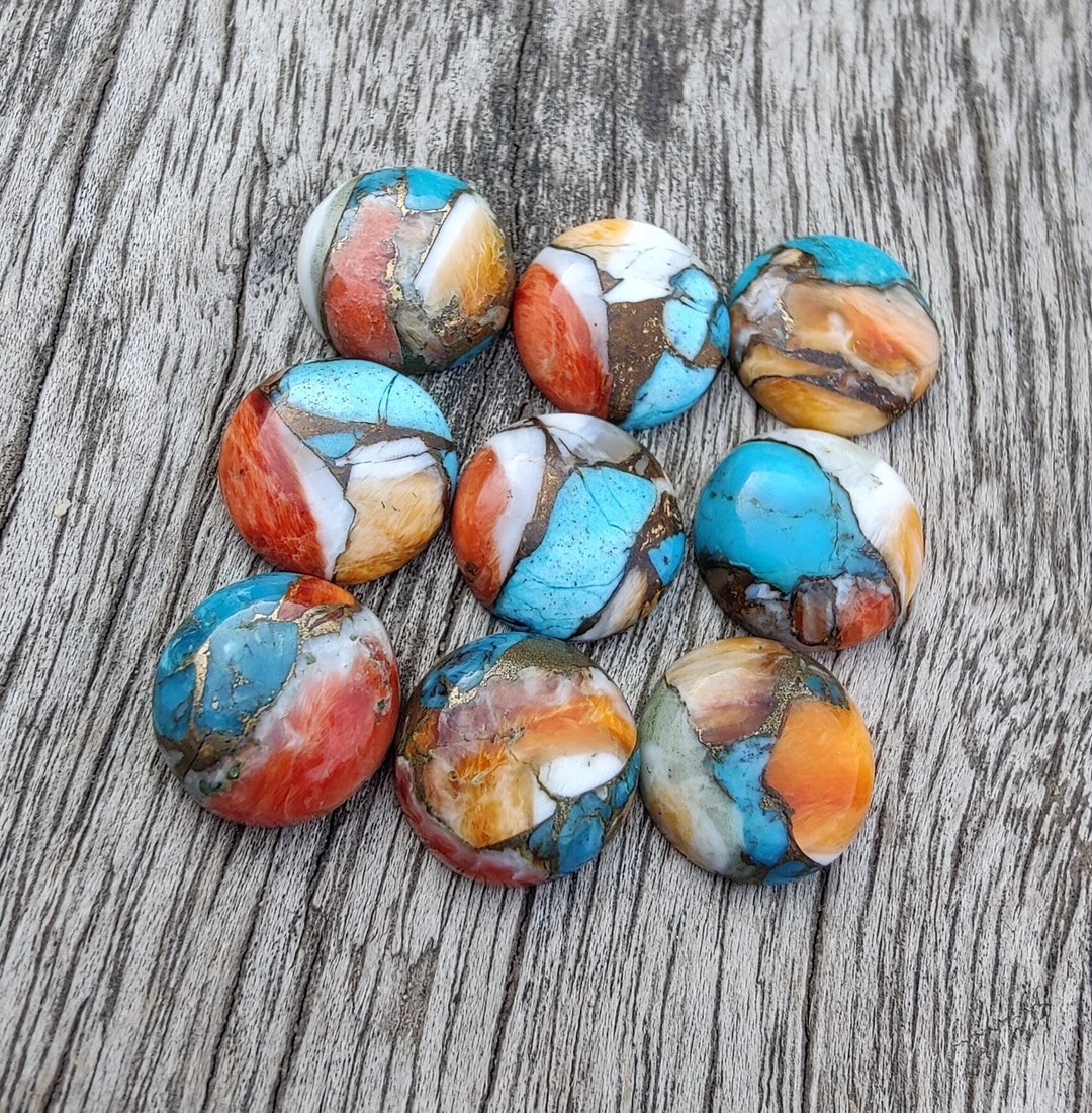 AAA+ Spiny Oyster Turquoise Cabochon: Round Flat Back Gemstone - Etsy
