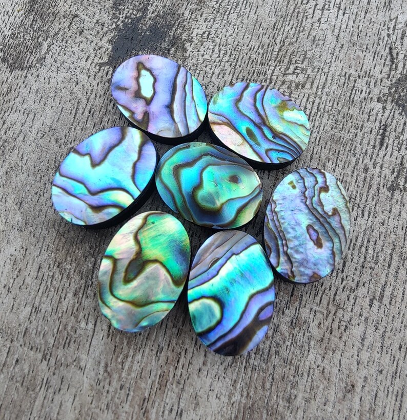 AAA+ Abalone Shell Cabochon: Oval Flat Back Calibrated Gemstones - Etsy