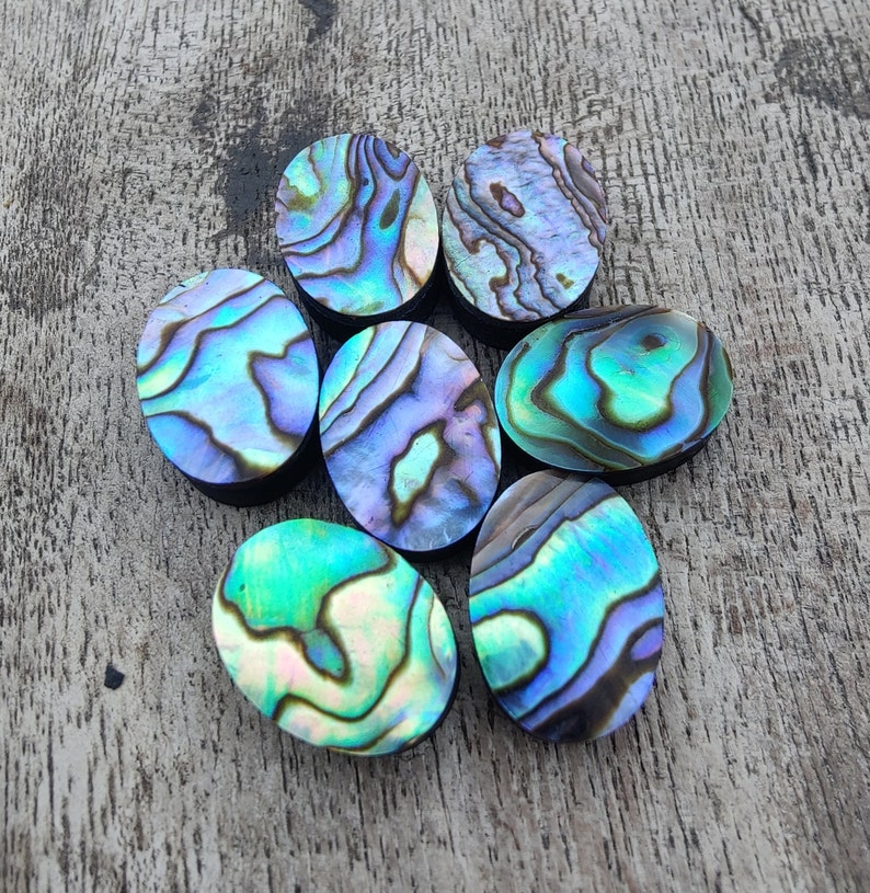 AAA+ Abalone Shell Cabochon: Oval Flat Back Calibrated Gemstones - Etsy