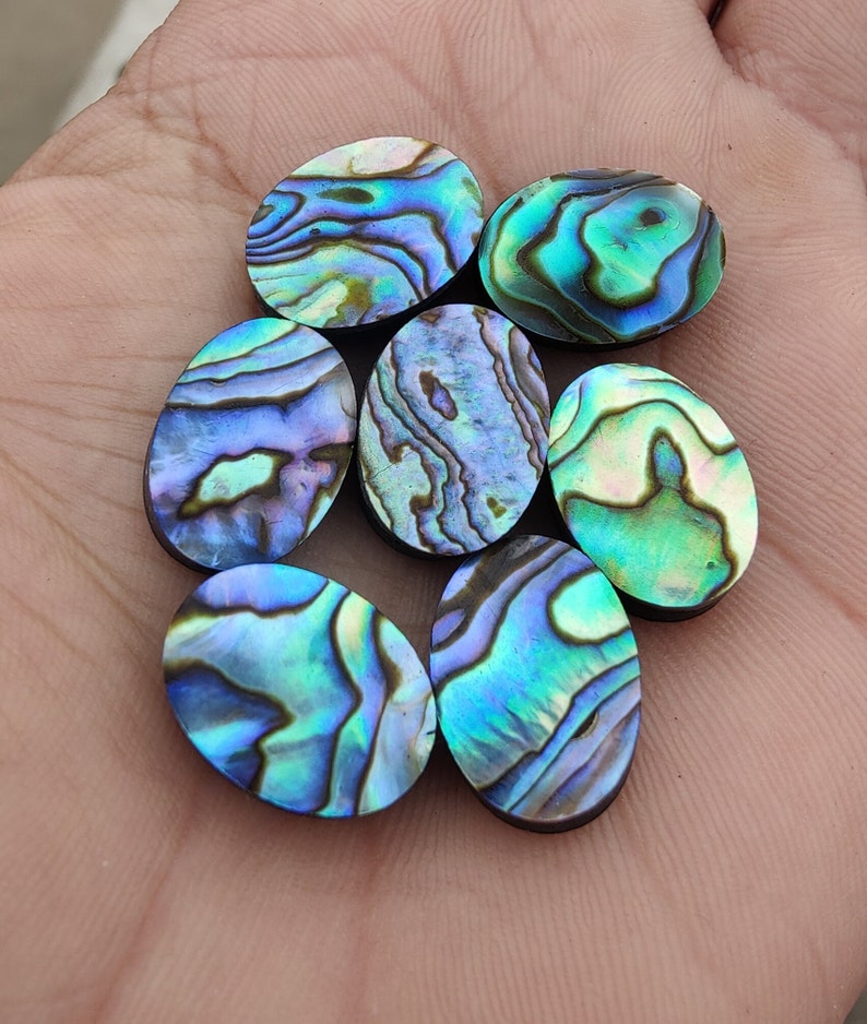 AAA+ Abalone Shell Cabochon: Oval Flat Back Calibrated Gemstones - Etsy