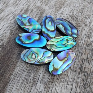 Natural Abalone Shell Big Oval Shape Cabochon Flat Back Calibrated Beda ...
