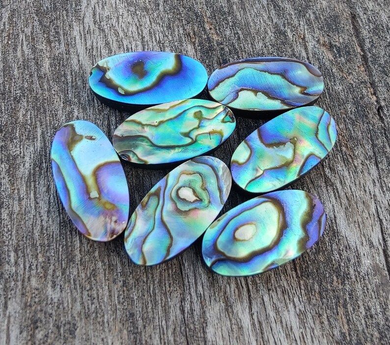 Natural Abalone Shell Big Oval Shape Cabochon Flat Back Calibrated Beda ...