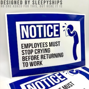 Funny Office Signs (2ct) – Workplace Humor, Boss Gift, Work Desk Décor ...