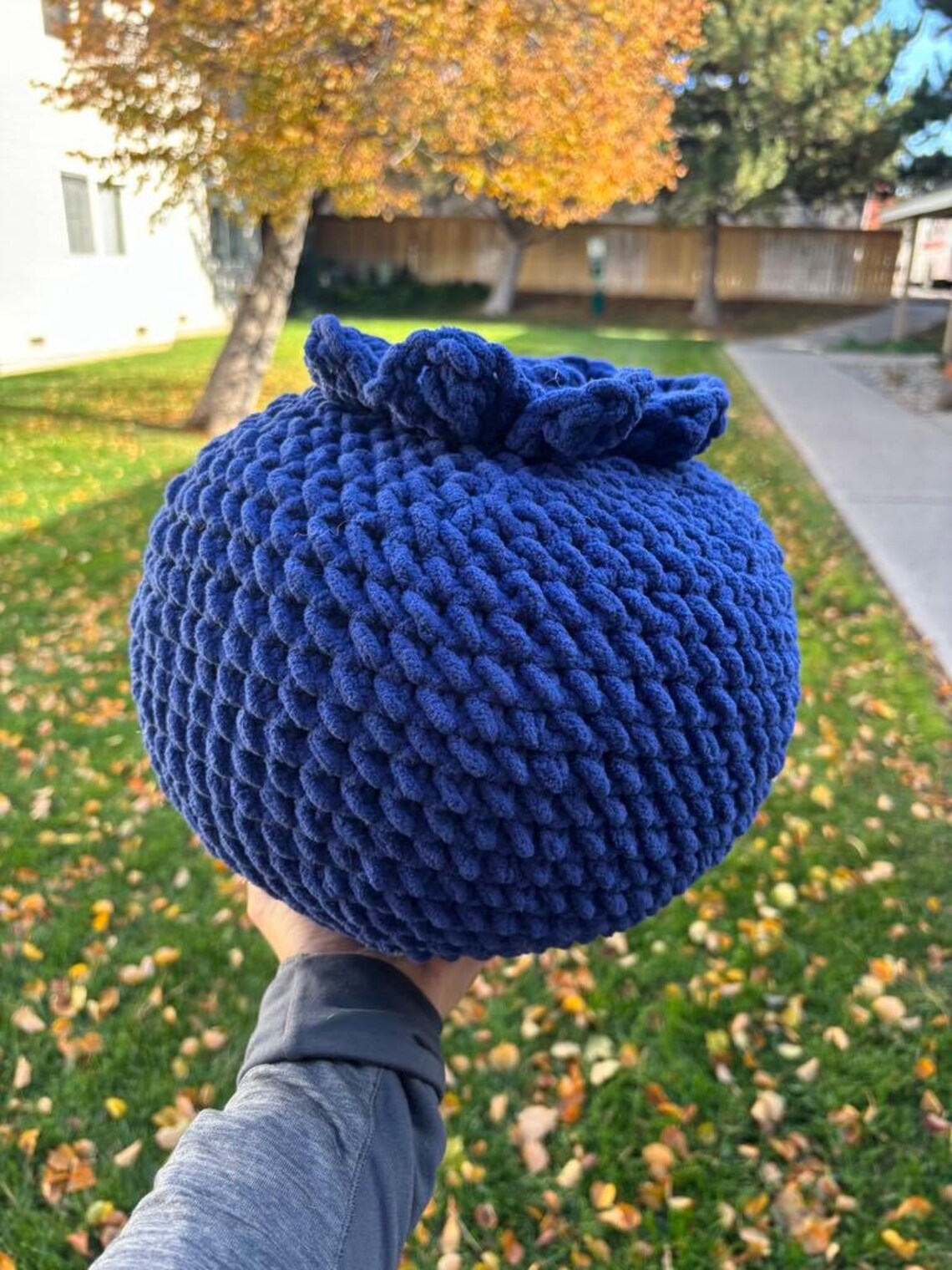 Jumbo Handmade Crochet Blueberry Amigurumi - Etsy