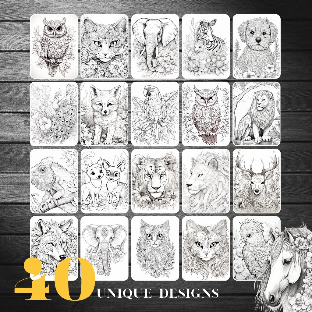 40 Premium Coloring Pages to Use or Resell Resalable Coloring Book ...