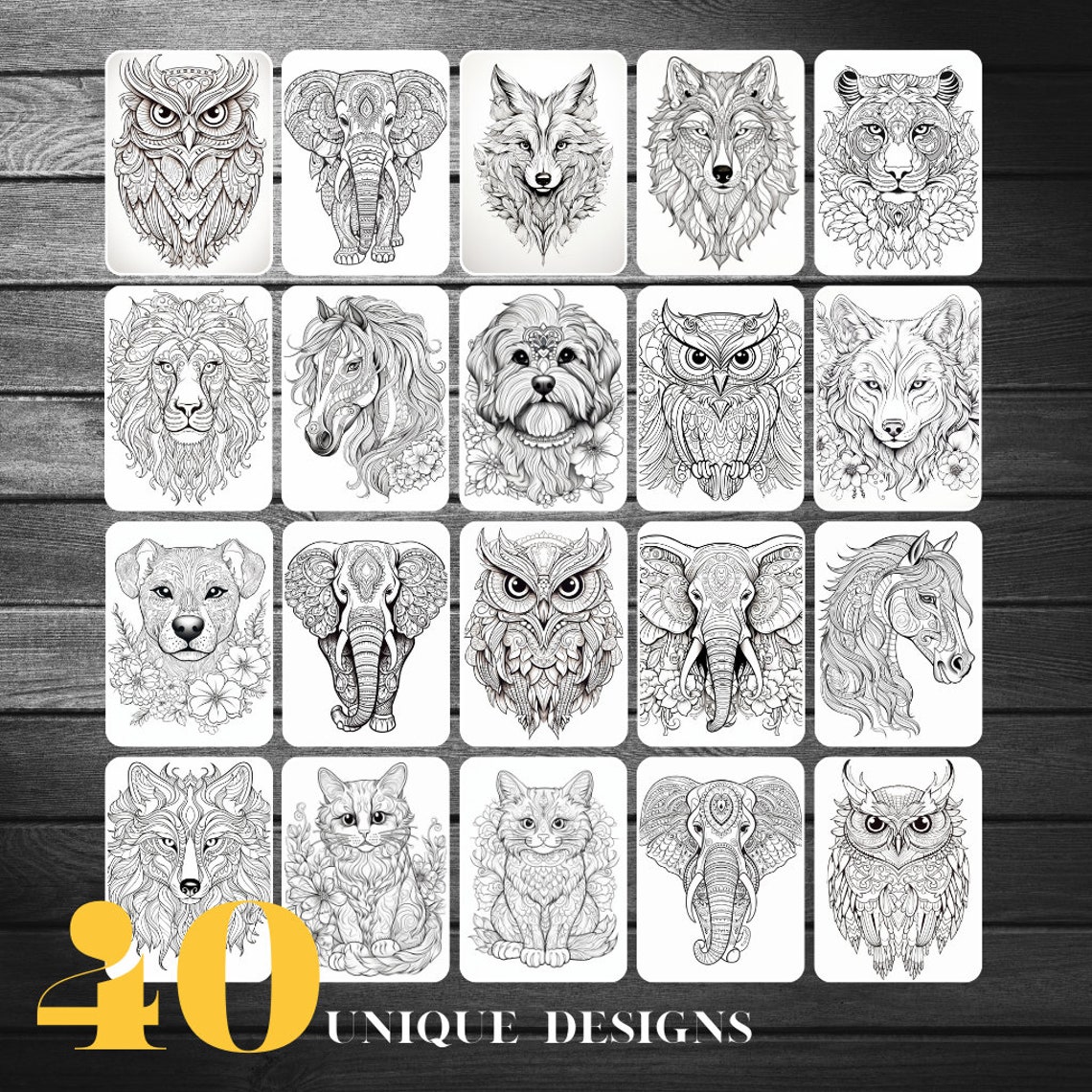 40 Premium Coloring Pages to Use or Resell Resalable Coloring Book ...