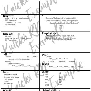 Easy ICU Report Sheet Digital Download knicki RN - Etsy Australia