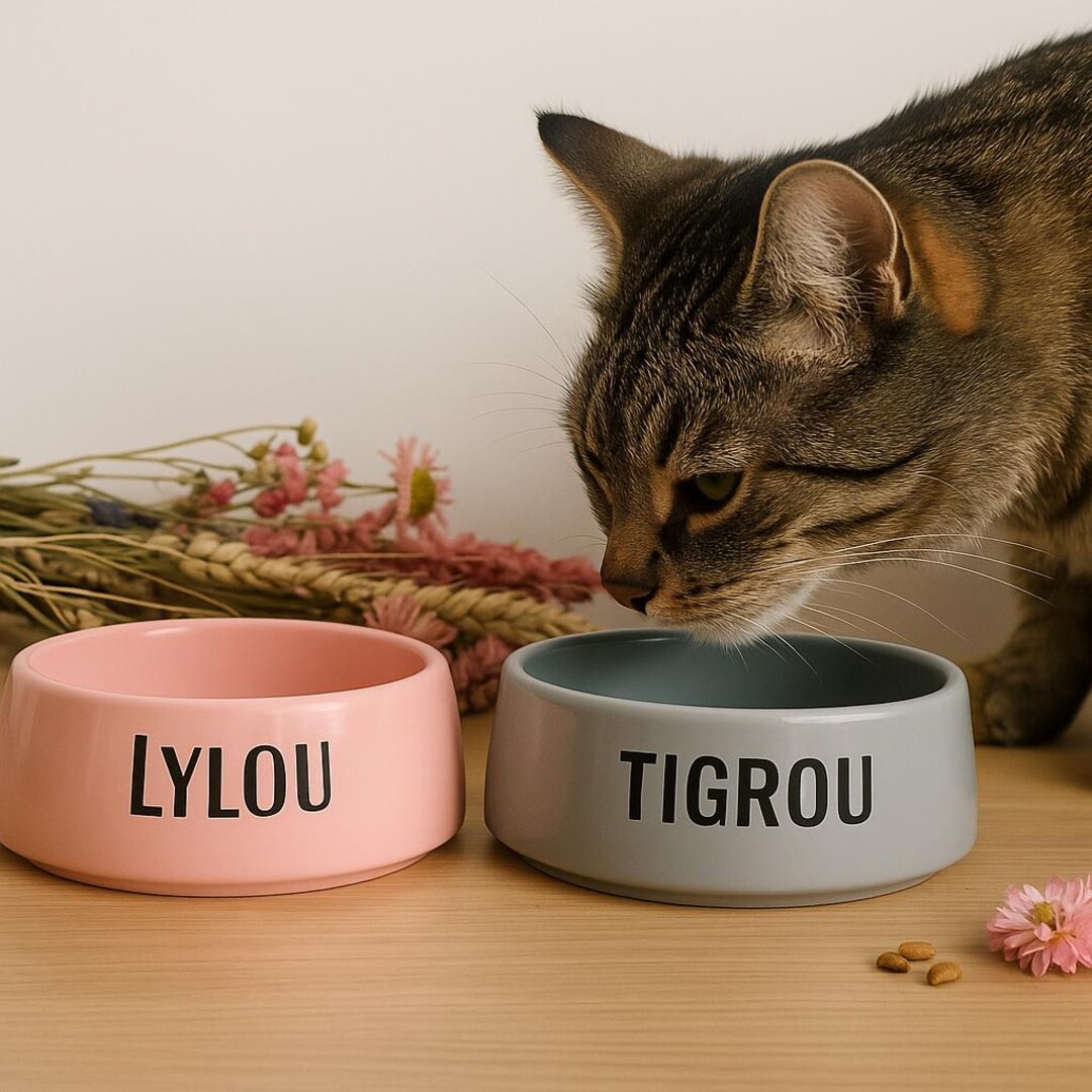 Personalized Cat Bowl With Name - Etsy