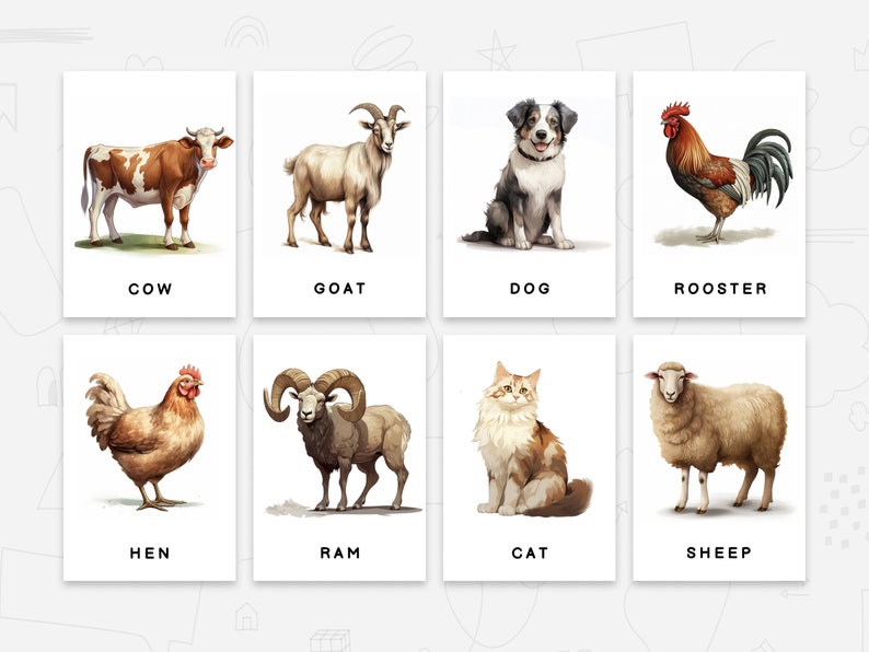 FARM ANIMALS Montessori Cards Flashcards PDF Printable Cards Preschool ...
