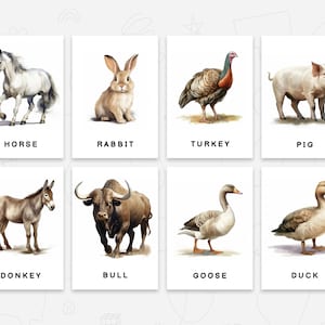 FARM ANIMALS Montessori Cards Flashcards PDF Printable Cards Preschool ...