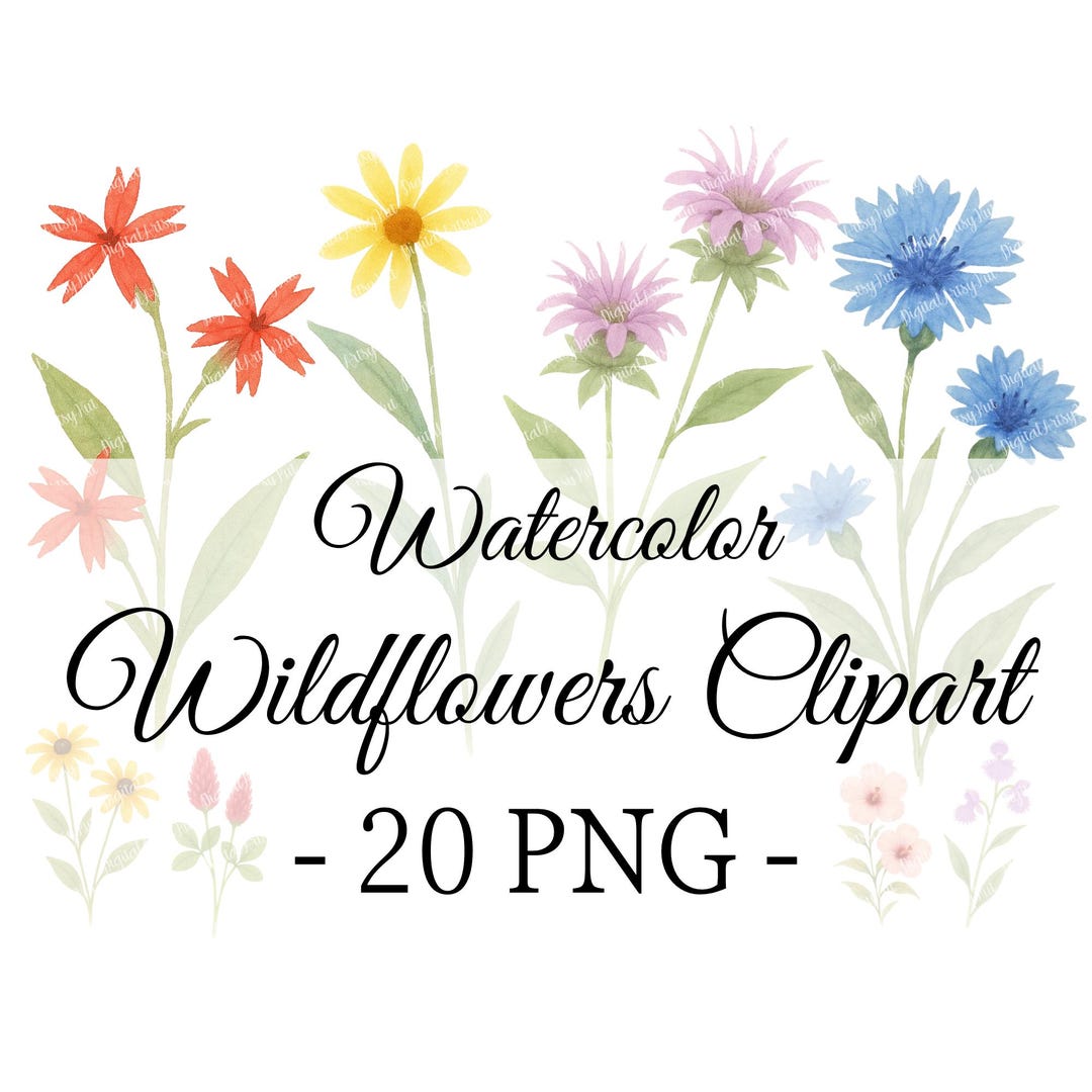 Watercolor Wildflower Clipart: Boho Floral PNG Set (20 PNG) - Etsy