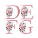 Floral Alphabet PNG Bundle. Watercolor Pink Floral Letters Decorative ...