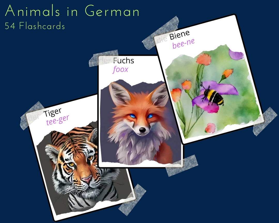Animal Flashcards in German: Perfect for Language Learning 54 Cards - Etsy