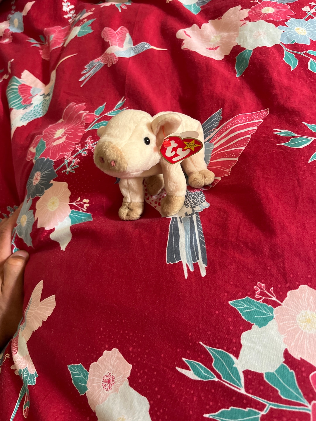 Beanie Baby 1999 Original Knuckles With Errors - Etsy