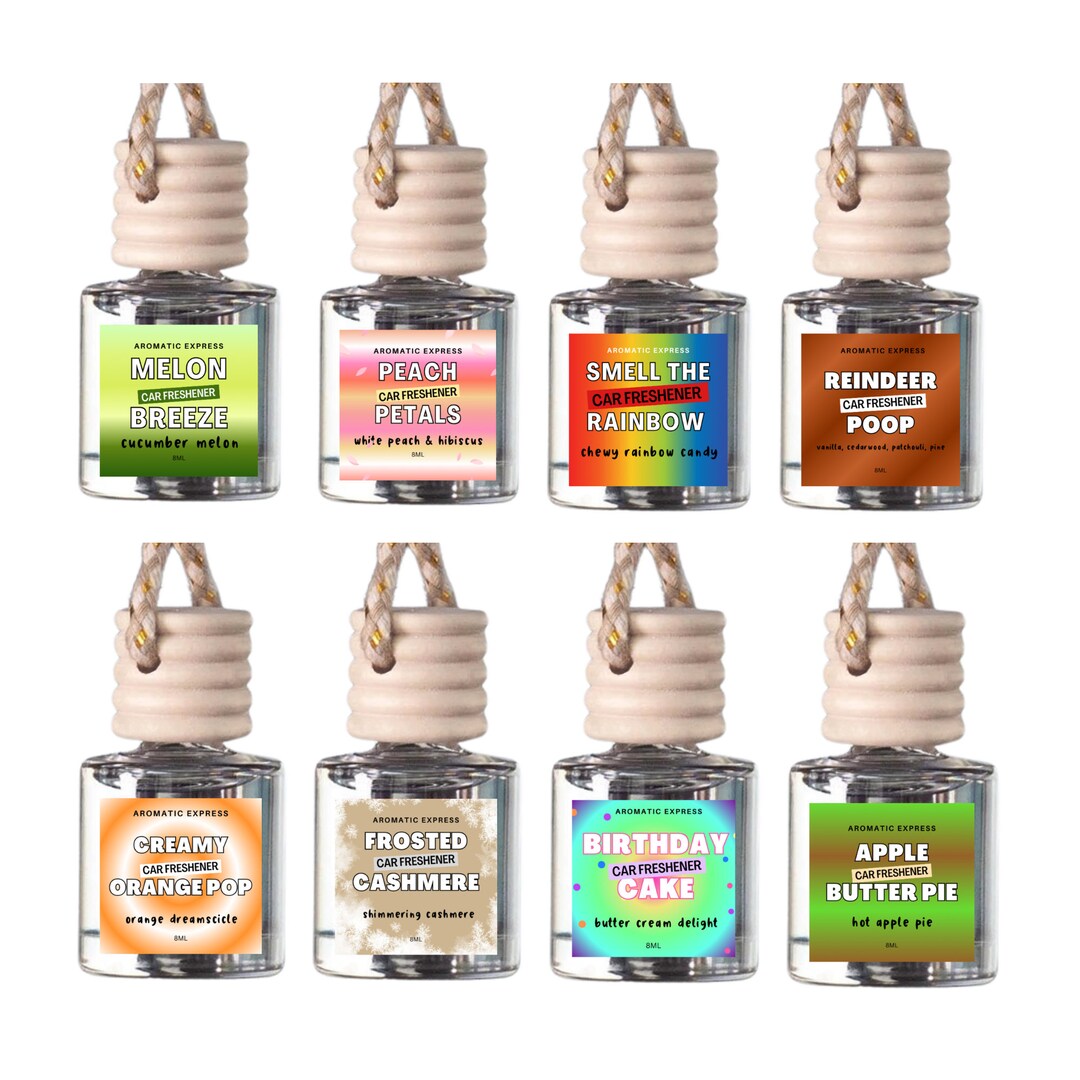 Hanging Car Air Freshener Diffuser / Car Freshie / Car Diffusers ...