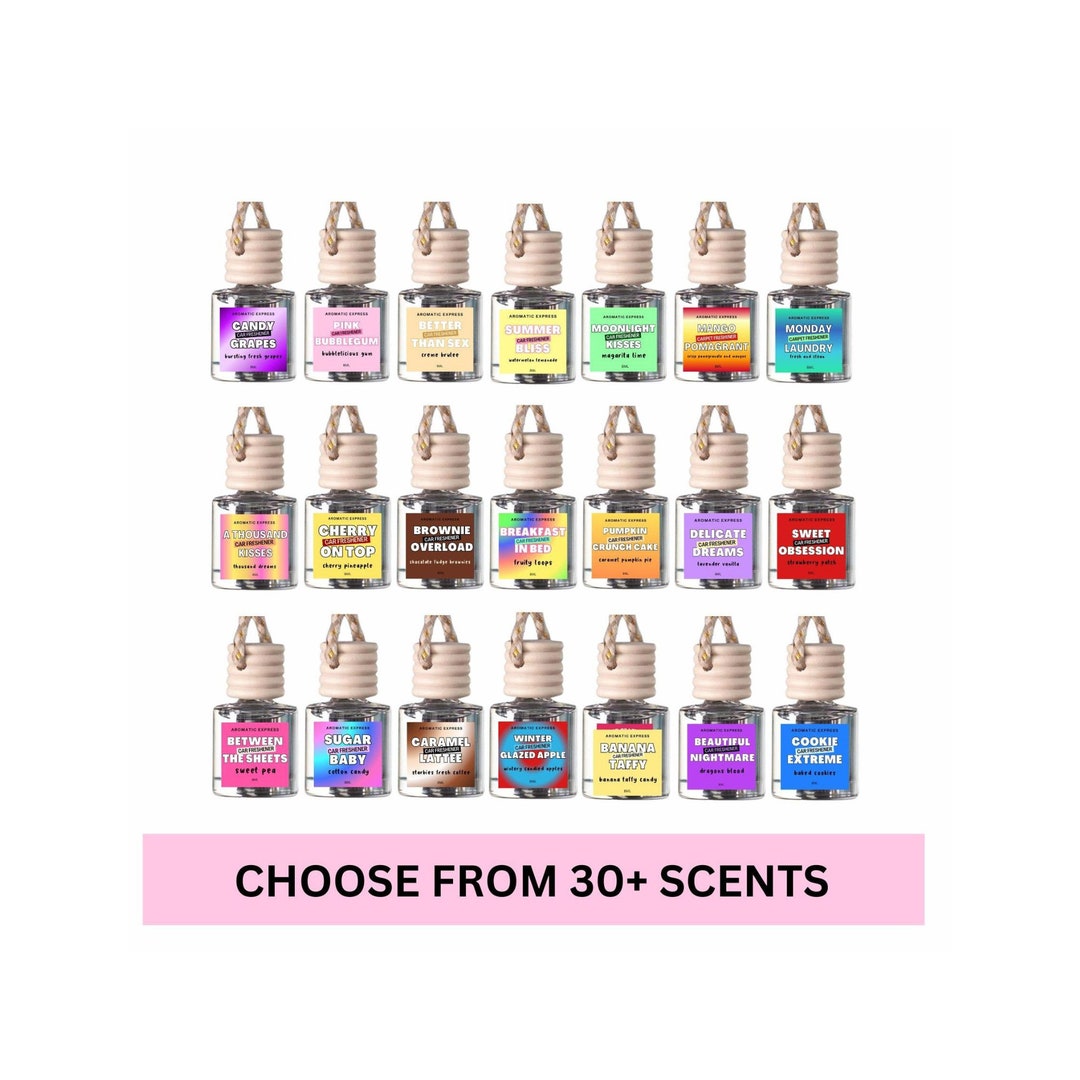 Hanging Car Air Freshener Diffuser / Car Freshie / Car Diffusers ...