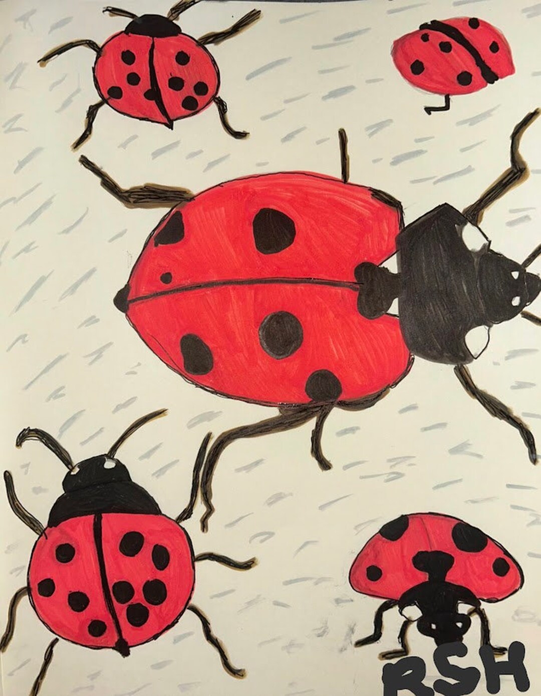 Five Ladybugs: Charming Art Print for Nature Enthusiasts and Home Decor ...