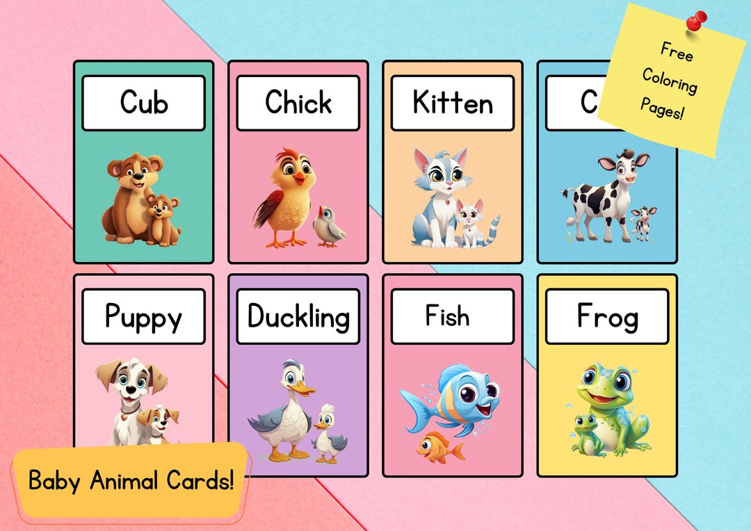 Montessori Animal Adventures: Engaging Flash Cards for Curious - Etsy