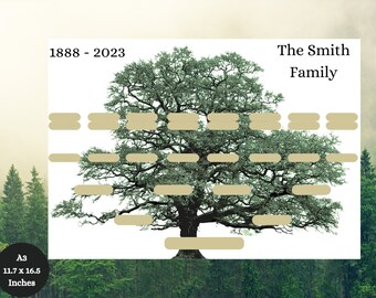 Genealogy Fan Chart Adobe Illustrator Template - Etsy