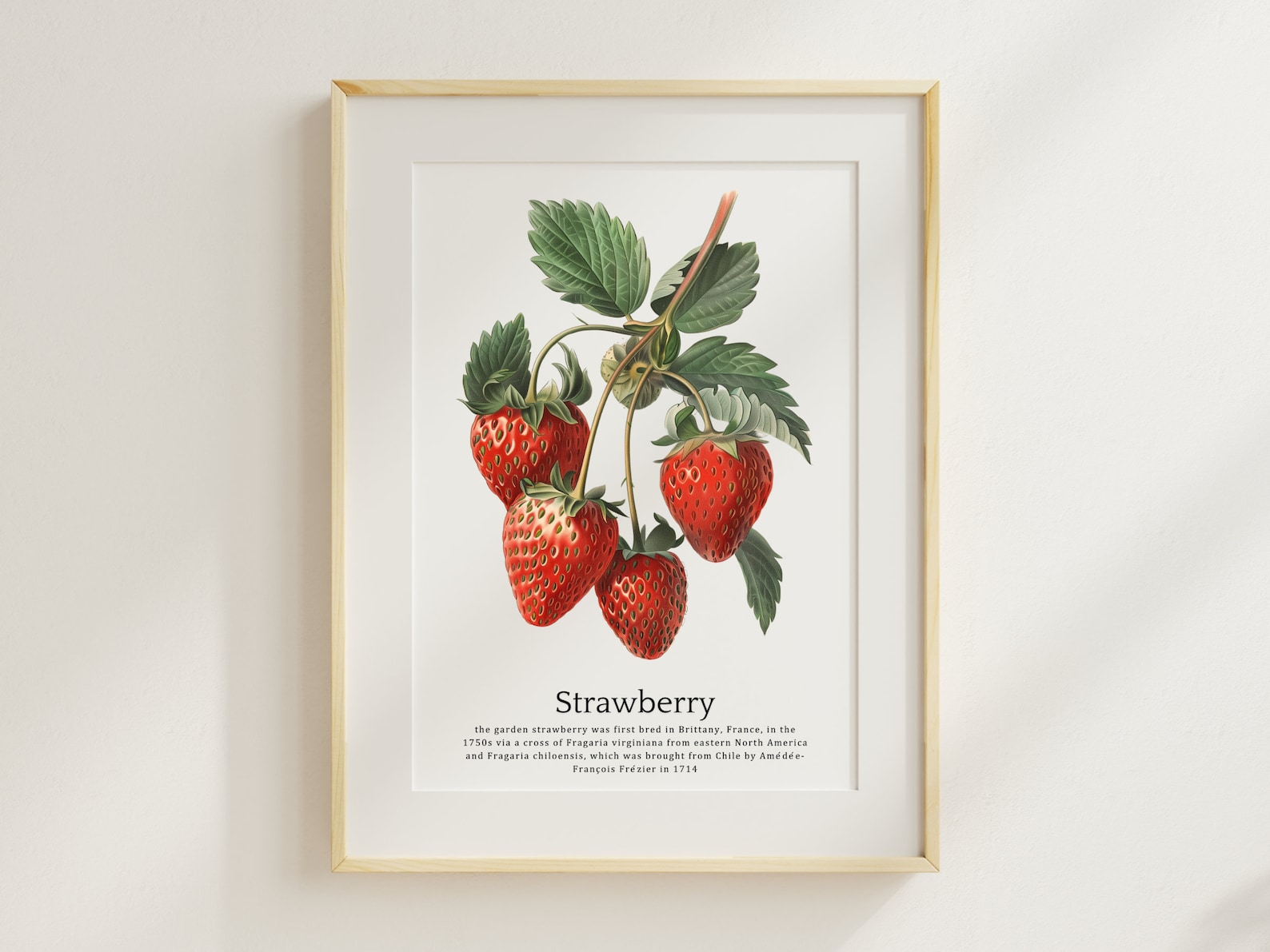Strawberry Vintage Garden Print Art, Garden Wall Deco, Fruit Lithograph ...