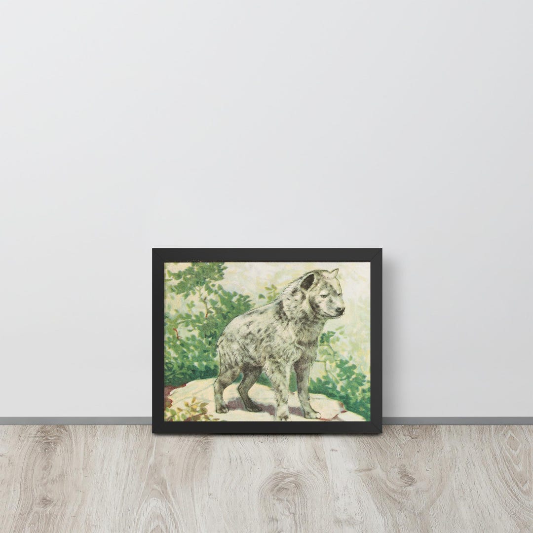 Vintage Hyena-like Wolf Illustration | Antique Lithograph Animal Print ...