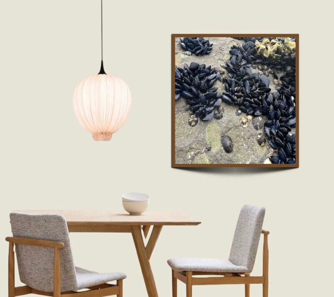Mussels on the Beach Photograph. Sea Life. - Etsy