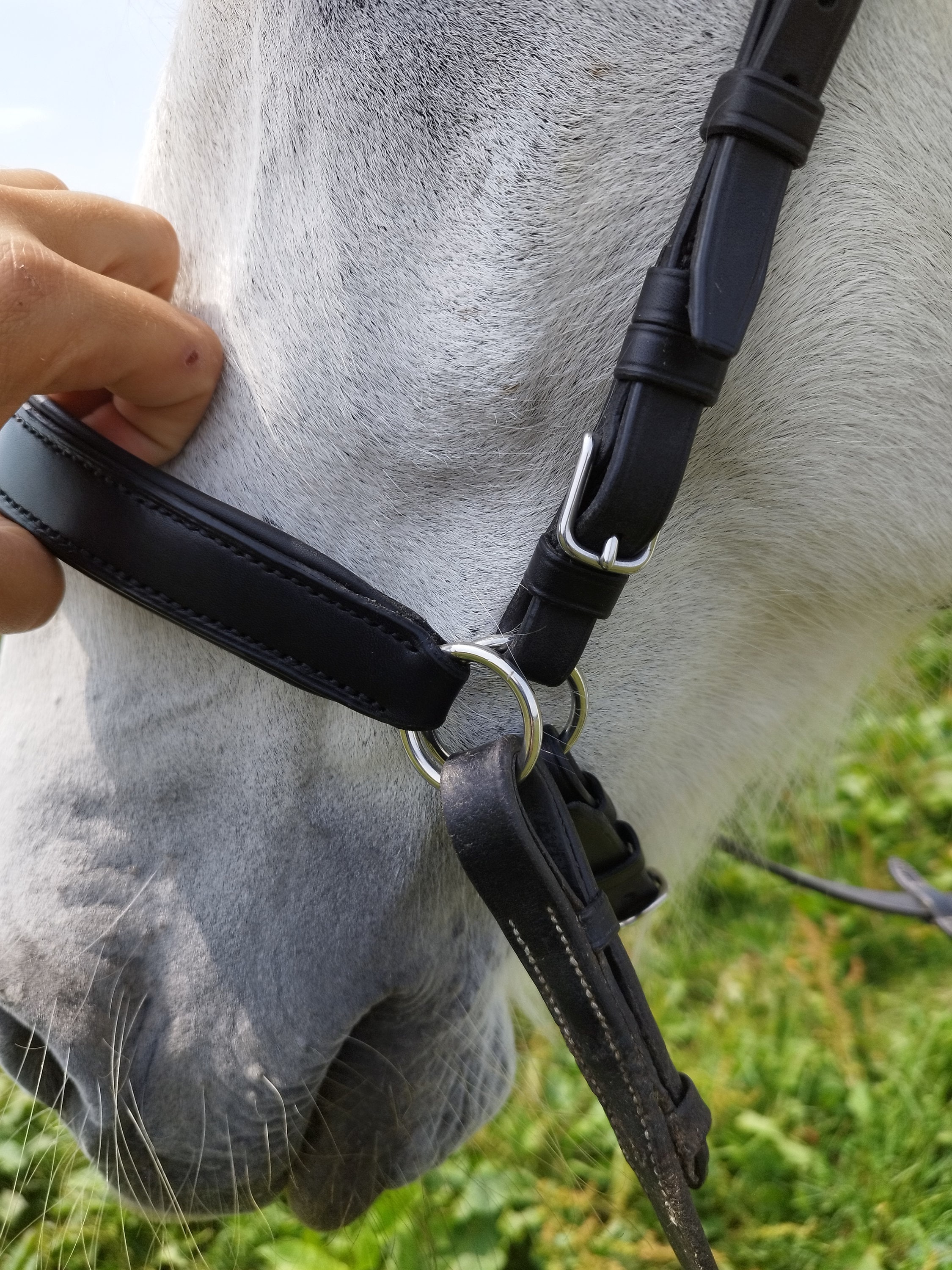 Side-pull Noseband - Etsy
