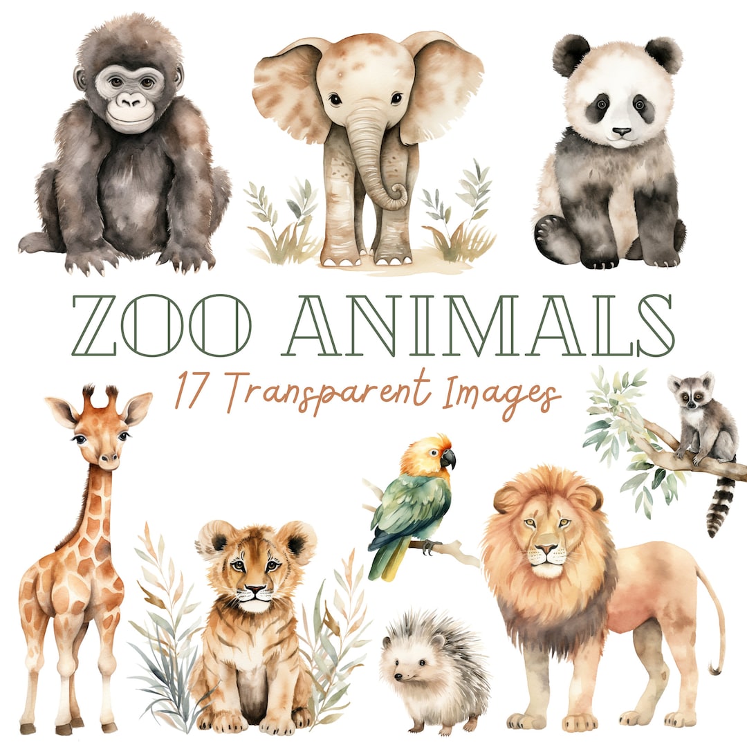 Zoo Animal Clipart, Safari Animal Clipart, Cute Animals Clipart, Monkey ...