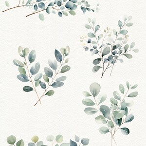 Watercolor Eucalyptus Clipart: Greenery PNG Images (digital Download ...
