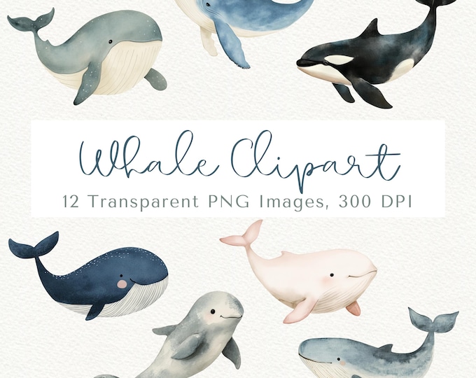 Whales Watercolor Clipart, Sea Animals Clip Art, Ocean Life, Underwater ...
