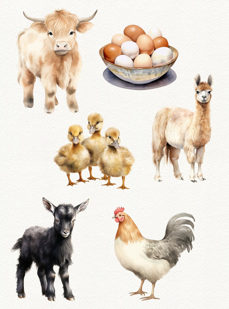 Watercolor Farm Animals Clipart: Highland Cow, Pony, Goat (PNG) - Etsy