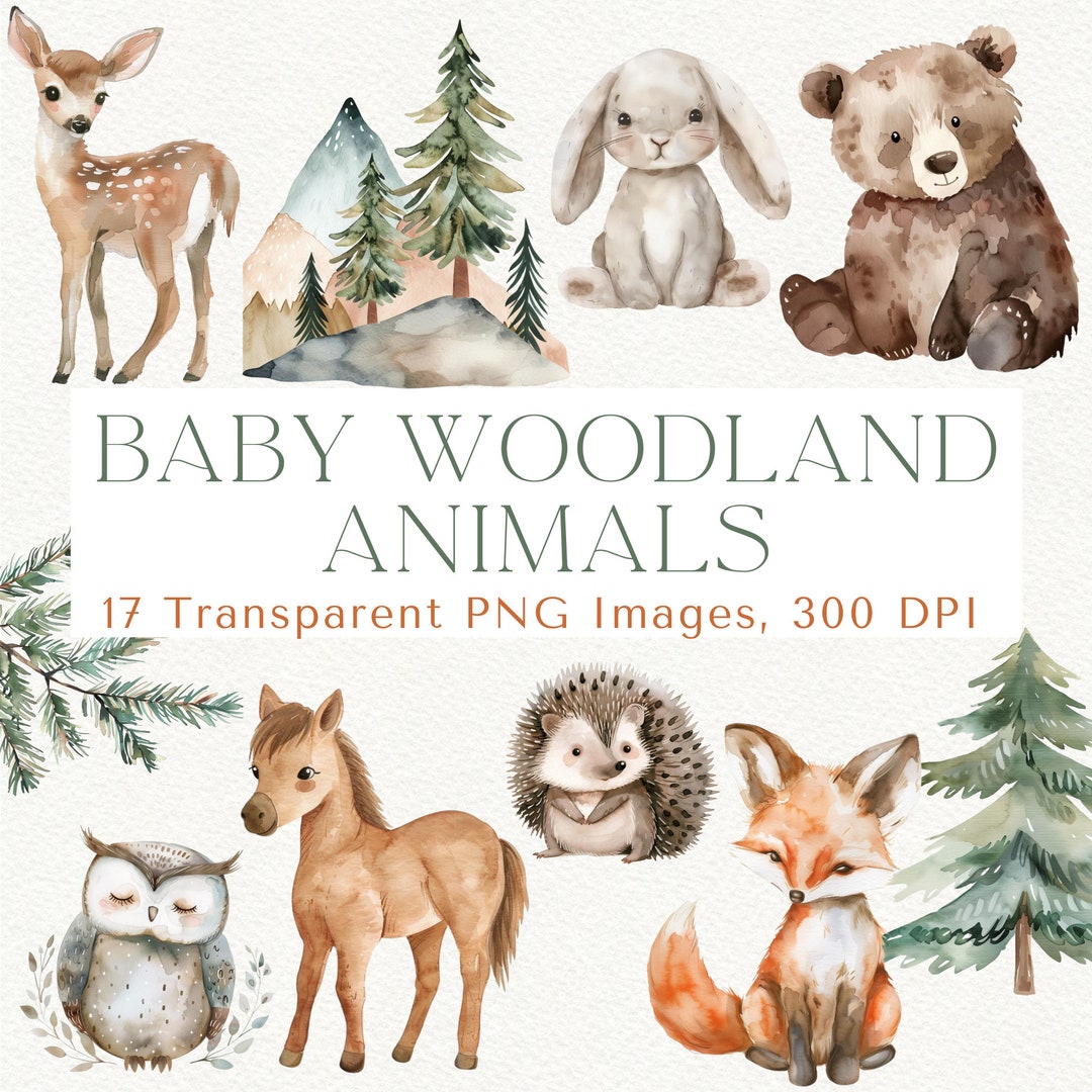 Watercolor Woodland Animals Clipart: 17 PNG Images (digital Download ...