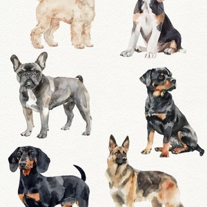 Dog Breeds Clipart: 18 Watercolor Puppy PNG Images (300 DPI) - Etsy