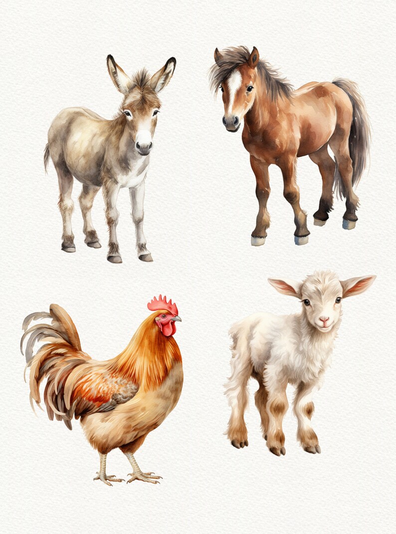 Watercolor Farm Animals Clipart: Highland Cow, Pony, Goat (PNG) - Etsy
